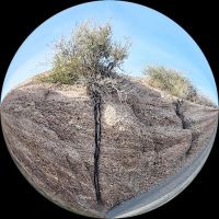 Resilience – The Very Stuff Of Life – Evidence-based resilience ...